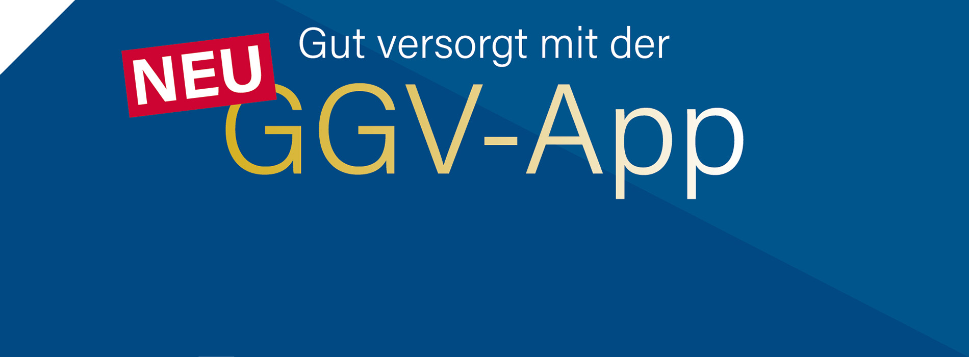 GGV - Stadtwerke Groß Gerau Versorgungs GmbH